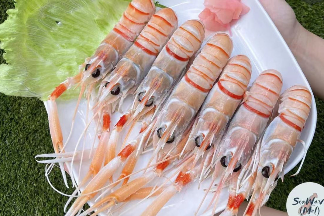 The food sources you can count on from worldwide! – Top and Beyond Foods