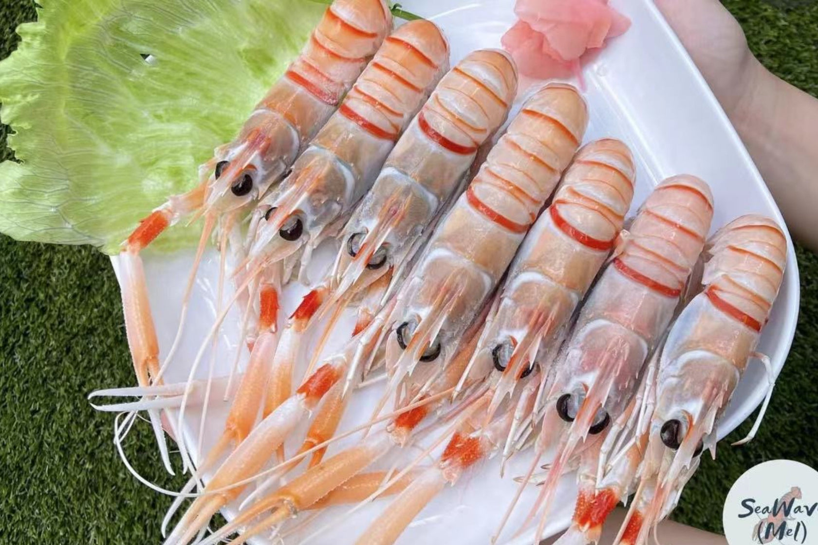 The food sources you can count on from worldwide! – Top and Beyond Foods